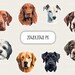 Dog Breeds Digital Stickers Dog Breeds Sticker Set Dog Breeds Printable ...