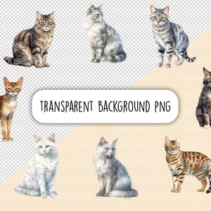 Watercolor Cat Clipart Digital Printable Cat Breeds Clipart FREE ...