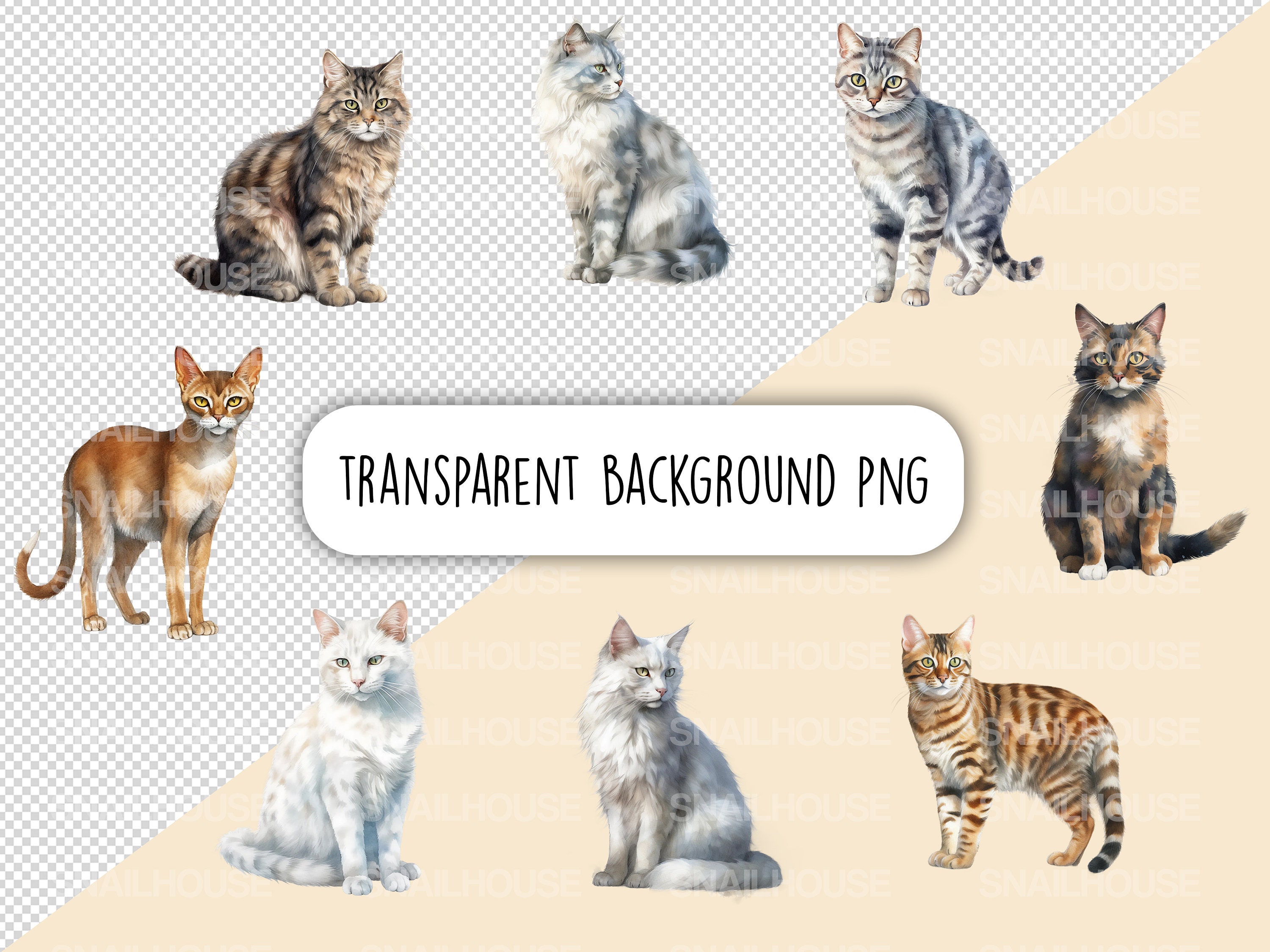 Watercolor Cat Clipart Digital Printable Cat Breeds Clipart FREE ...