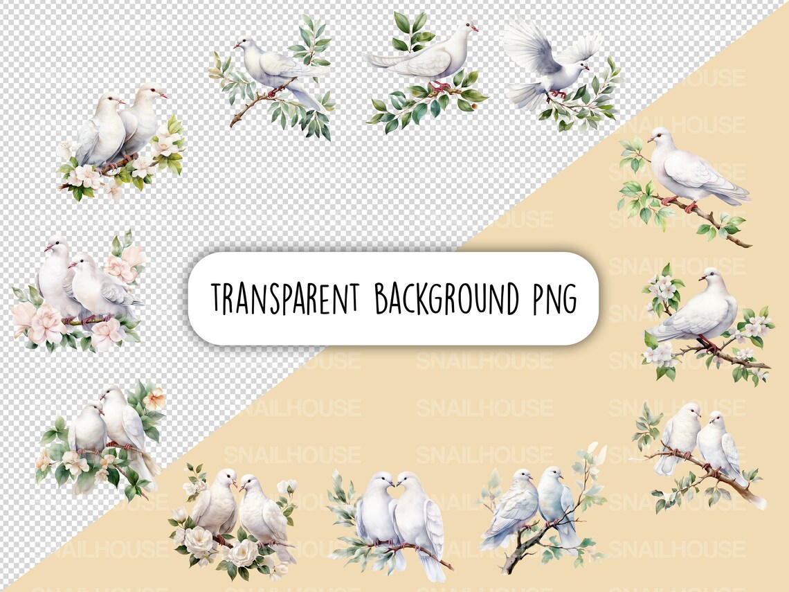Watercolor White Doves Clipart Bundle FREE Commercial Use Digital White ...