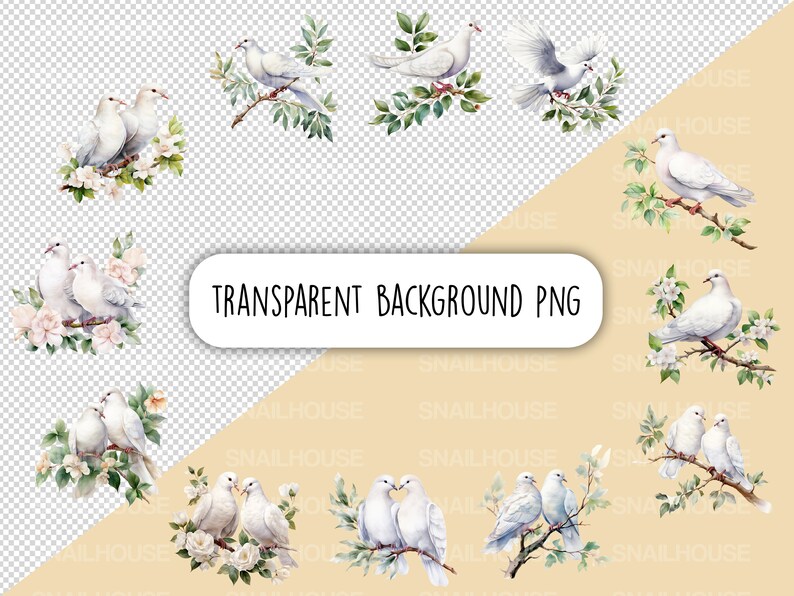 Watercolor White Doves Clipart Bundle FREE Commercial Use Digital White ...