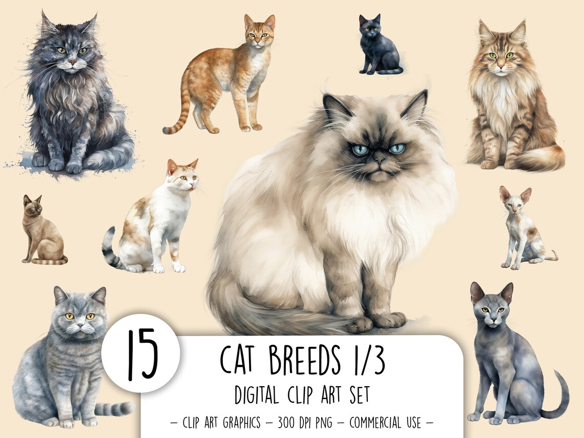 Watercolor Cat Clipart Digital Printable Cat Breeds Clipart - Etsy