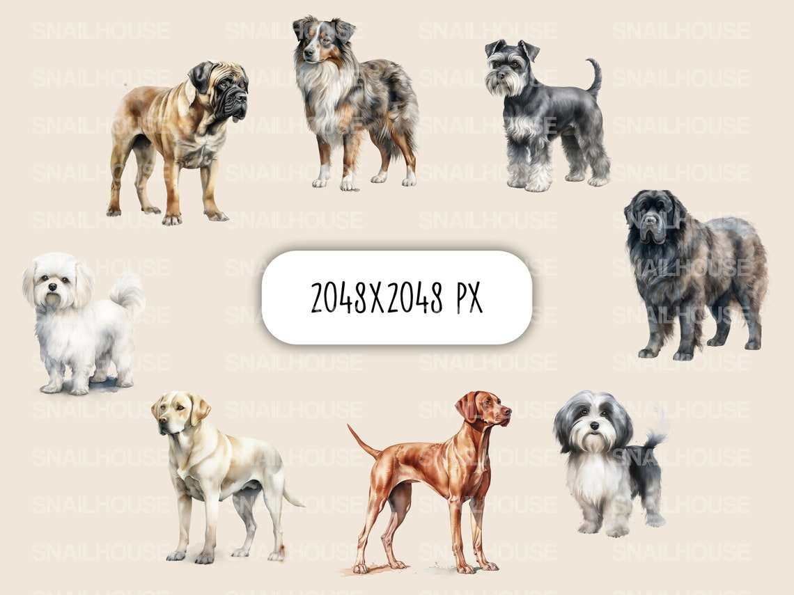 Dog Breeds Digital Clip Art Dog Breeds Clipart Set Dog Breeds Printable ...