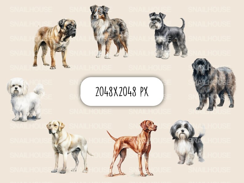 Dog Breeds Digital Clip Art Dog Breeds Clipart Set Dog Breeds Printable ...