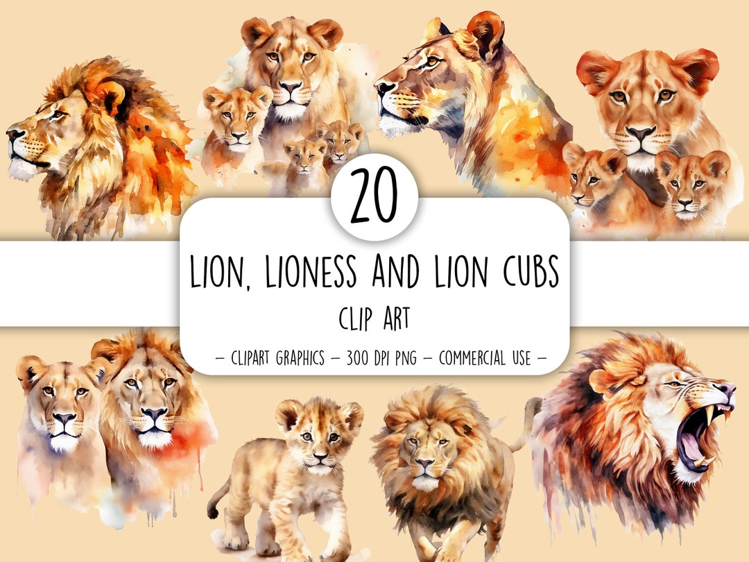 Watercolor Lion Lioness and Lion Cubs Clipart Lion Graphics Lion ...