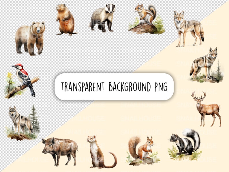 Watercolor Forest Animals Clipart Bundle FREE Commercial Use Digital ...