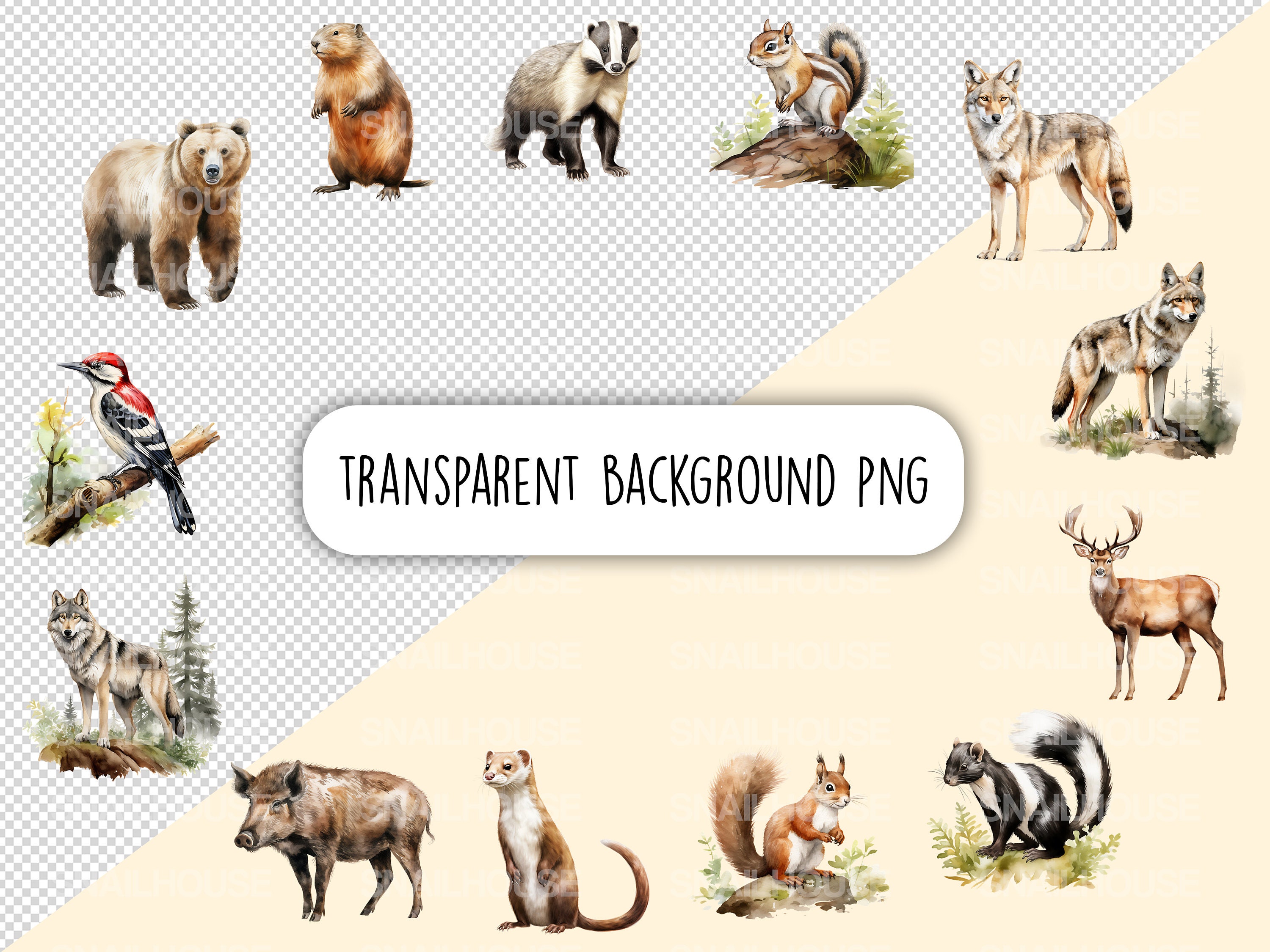 Watercolor Forest Animals Clipart Bundle FREE Commercial Use Digital ...