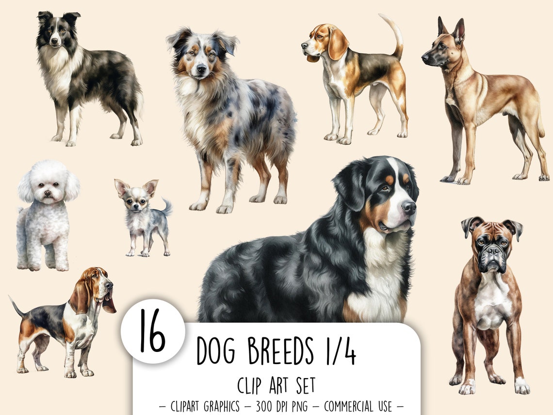 Dog Breeds Digital Clip Art Dog Breeds Clipart Set Dog Breeds Printable ...