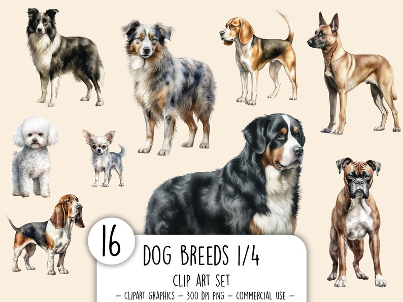 Dog Breeds Digital Clip Art Dog Breeds Clipart Set Dog Breeds Printable ...