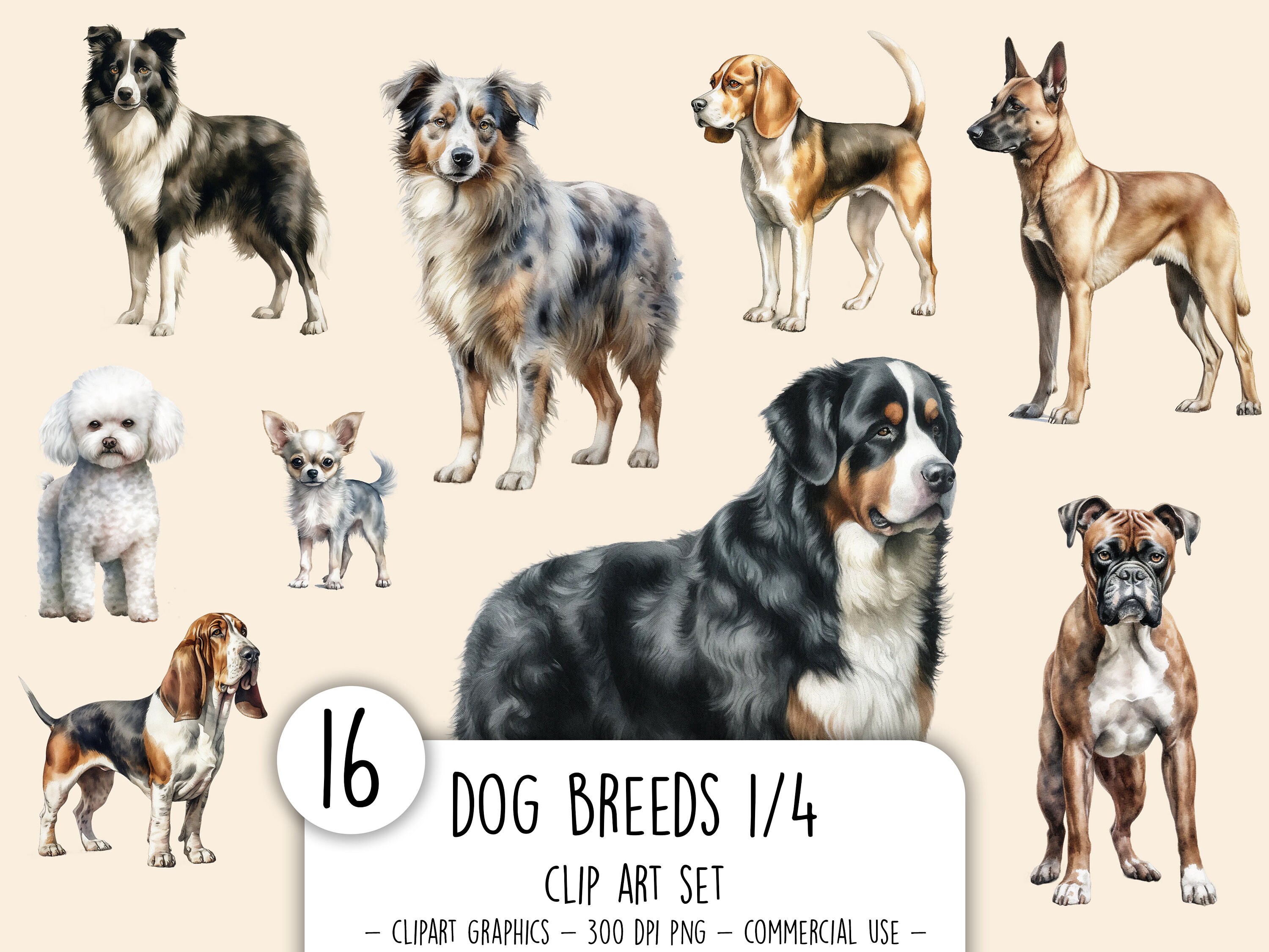 Dog Breeds Digital Clip Art Dog Breeds Clipart Set Dog Breeds Printable ...