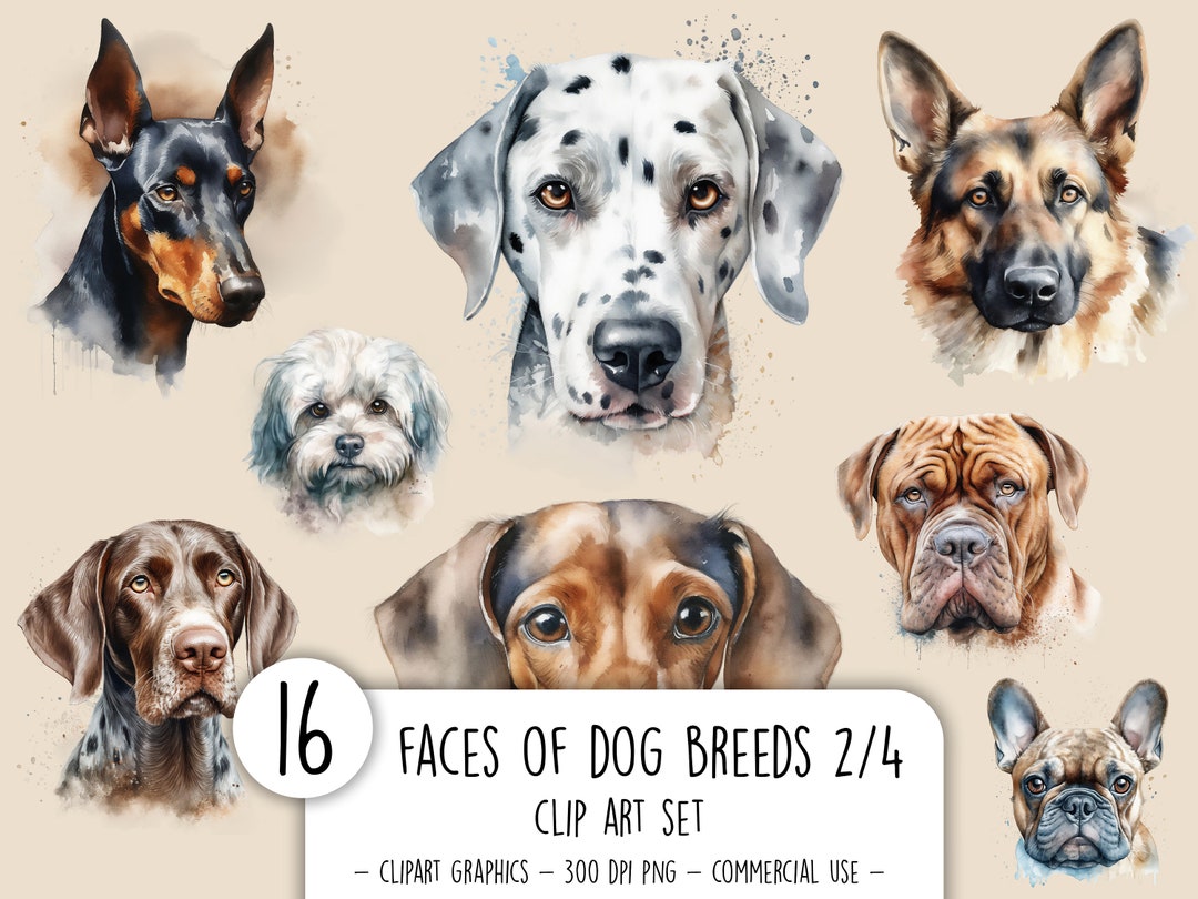 Faces of Dog Breeds Digital Printable Dog Breeds Clip Art FREE - Etsy