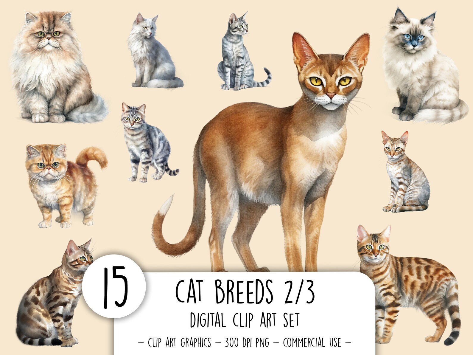 Watercolor Cat Clipart Digital Printable Cat Breeds Clipart - Etsy