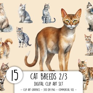 Watercolor Cat Clipart Digital Printable Cat Breeds Clipart FREE ...
