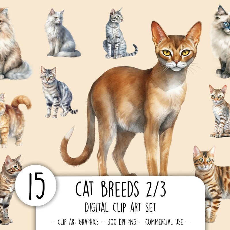 Cat Breeds Clipart - Etsy