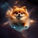 Pomeranian Flying in Space - Etsy