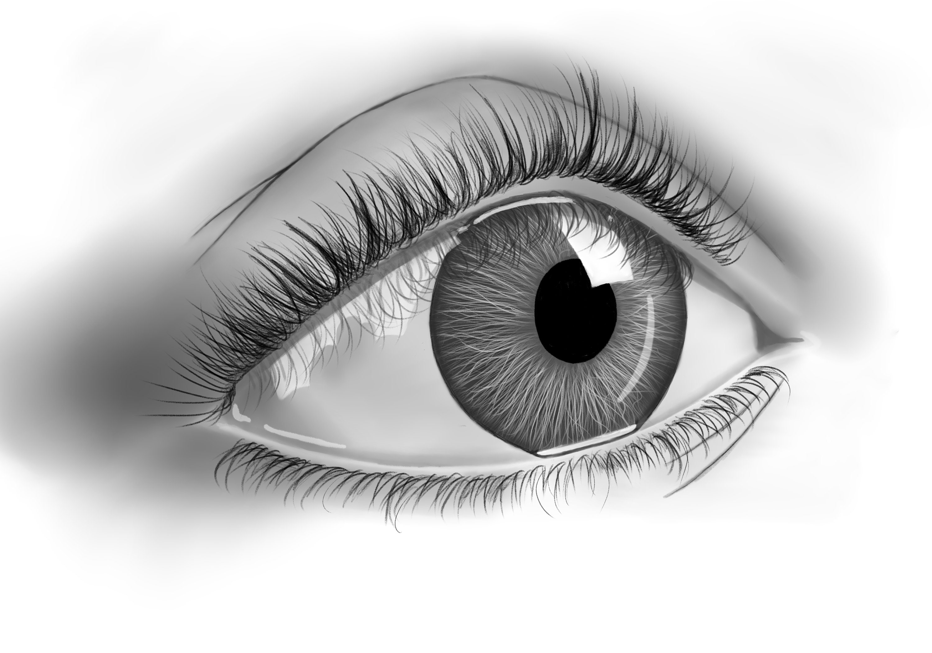 Digital Download Eye Sketch Drawing- Human Eye Art - Etsy