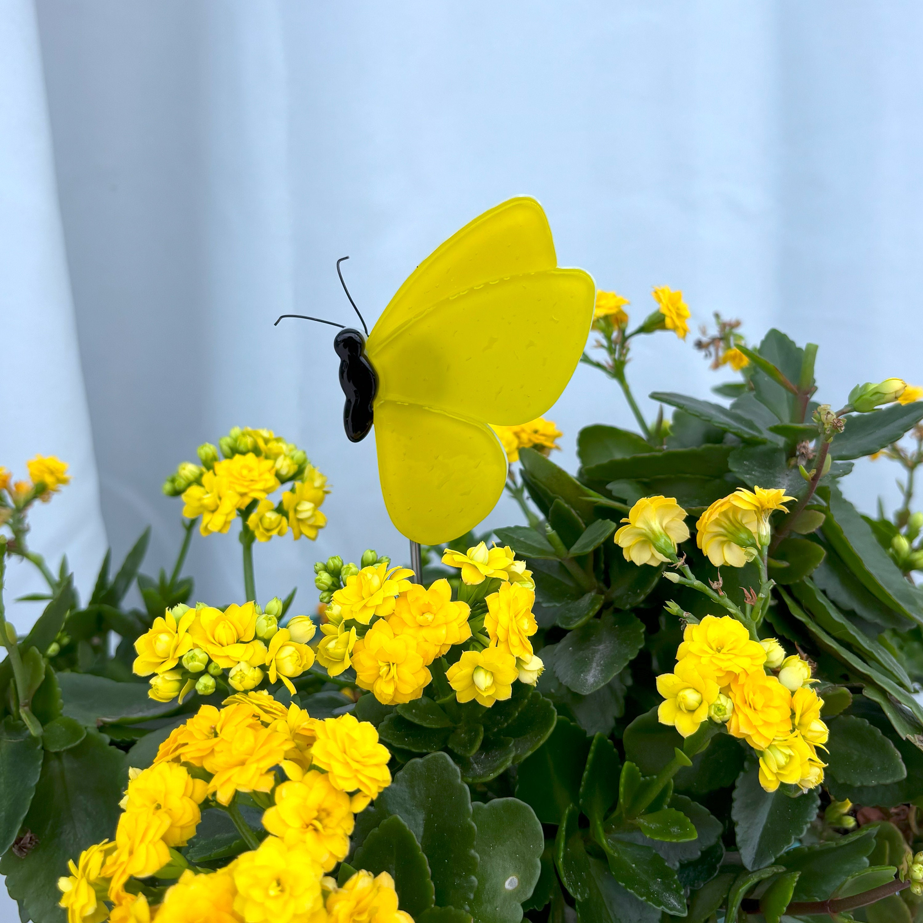 Yellow Fused Glass Butterfly Garden Plant Stake | Plant Decorations ...