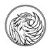 10 EAGLE DESIGNS - Digital Download - for Engraving, Printing and More ...
