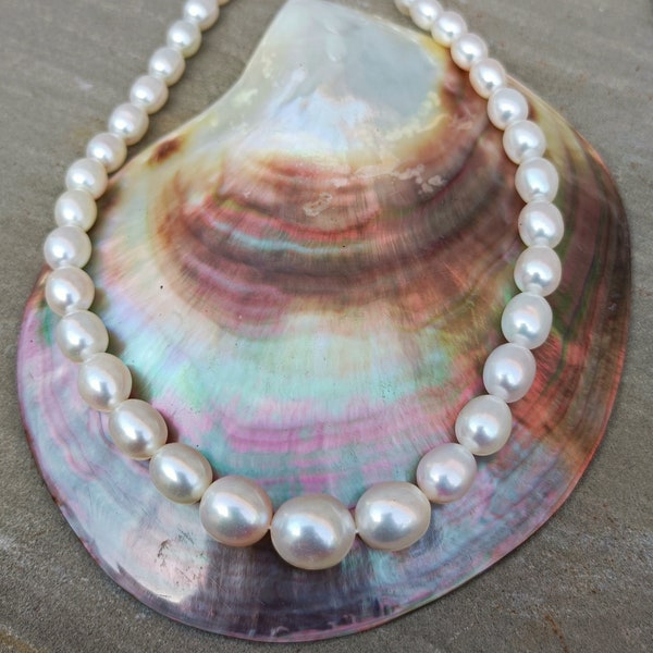 Oval Pearl Necklace - Etsy