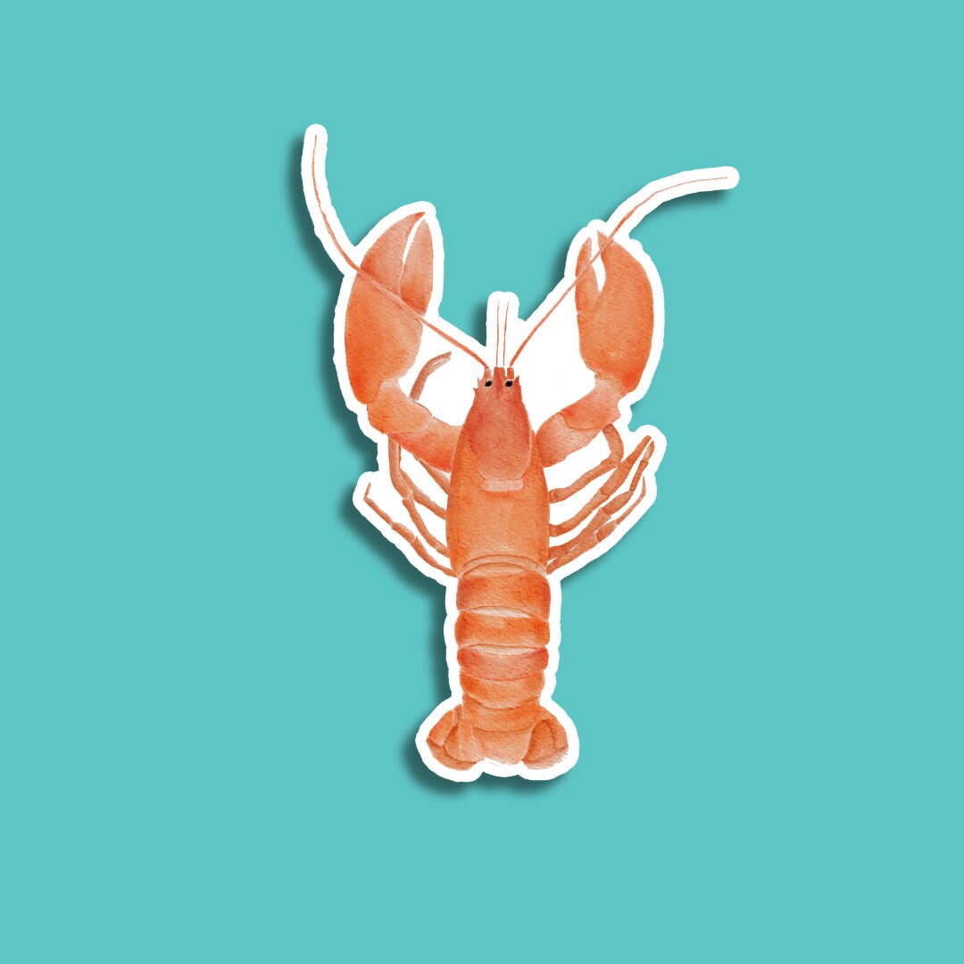 Lobster Sticker, Orange Lobster Watercolor Decal, Cute Art Sticker ...