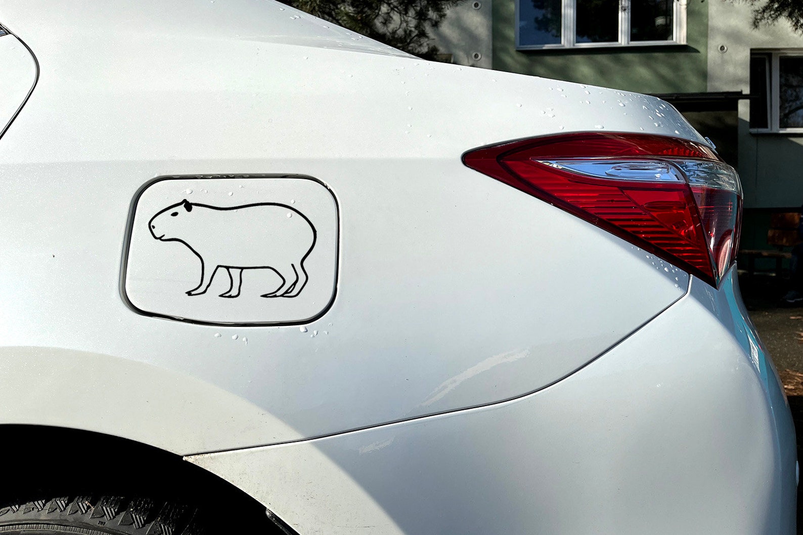 Cute Capybara Car Decal for Women, Mirror and Window Sticker, Laptop ...