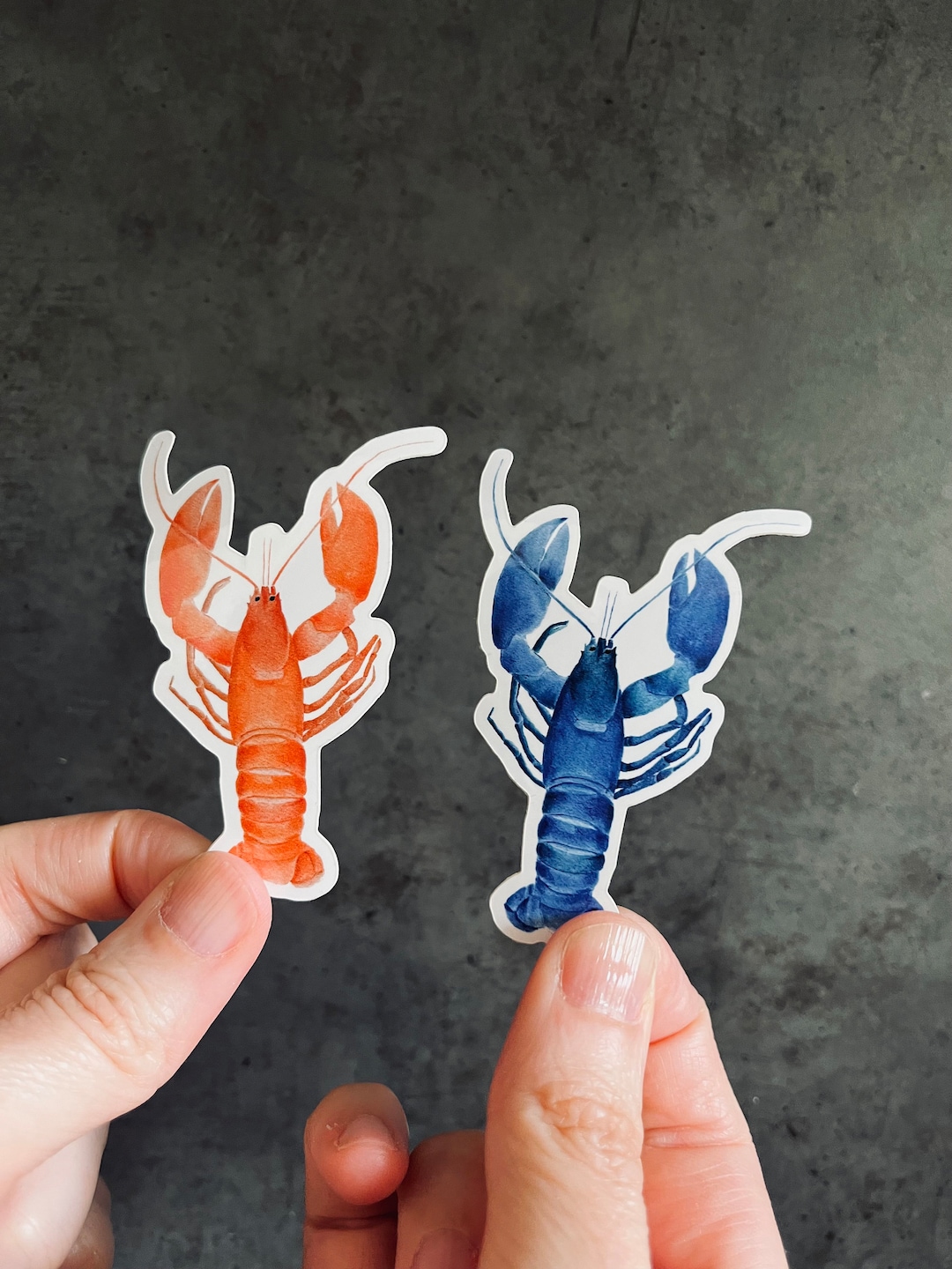 Lobster Sticker Set, Blue and Orange Lobster Watercolor Decal, Cute Art ...