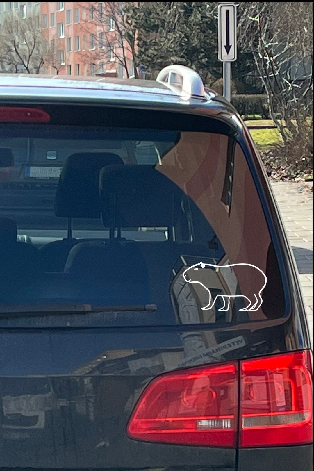 Cute Capybara Car Decal for Women, Mirror and Window Sticker, Laptop ...