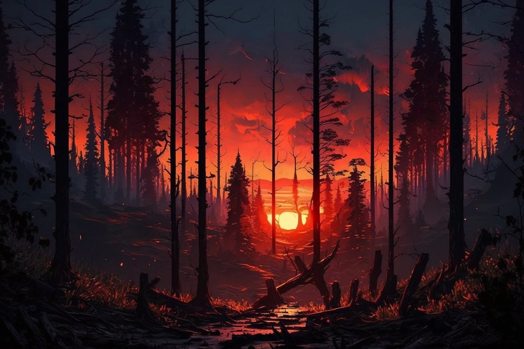 Forest Sunset - Etsy