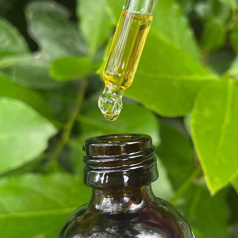 Sana / Microdose / Funghi Adattogeni E Bacopa / Dual Extract Tincture / 30 Ml - Etsy