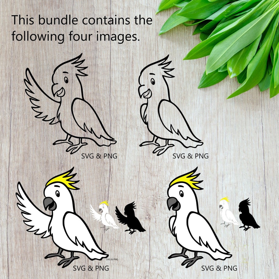 Australian Cockatoo SVG and PNG Layers Cricut Cut File, Silhouette - Etsy