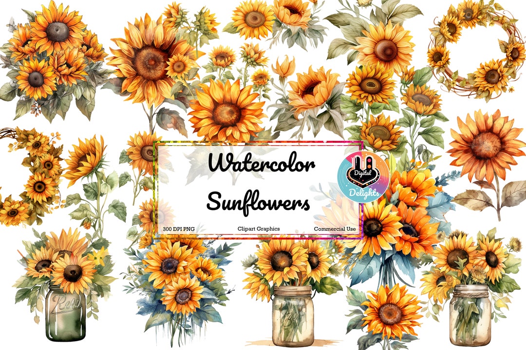 Sunflower Watercolor Clipart, Flower PNG Clipart, Spring & Floral ...