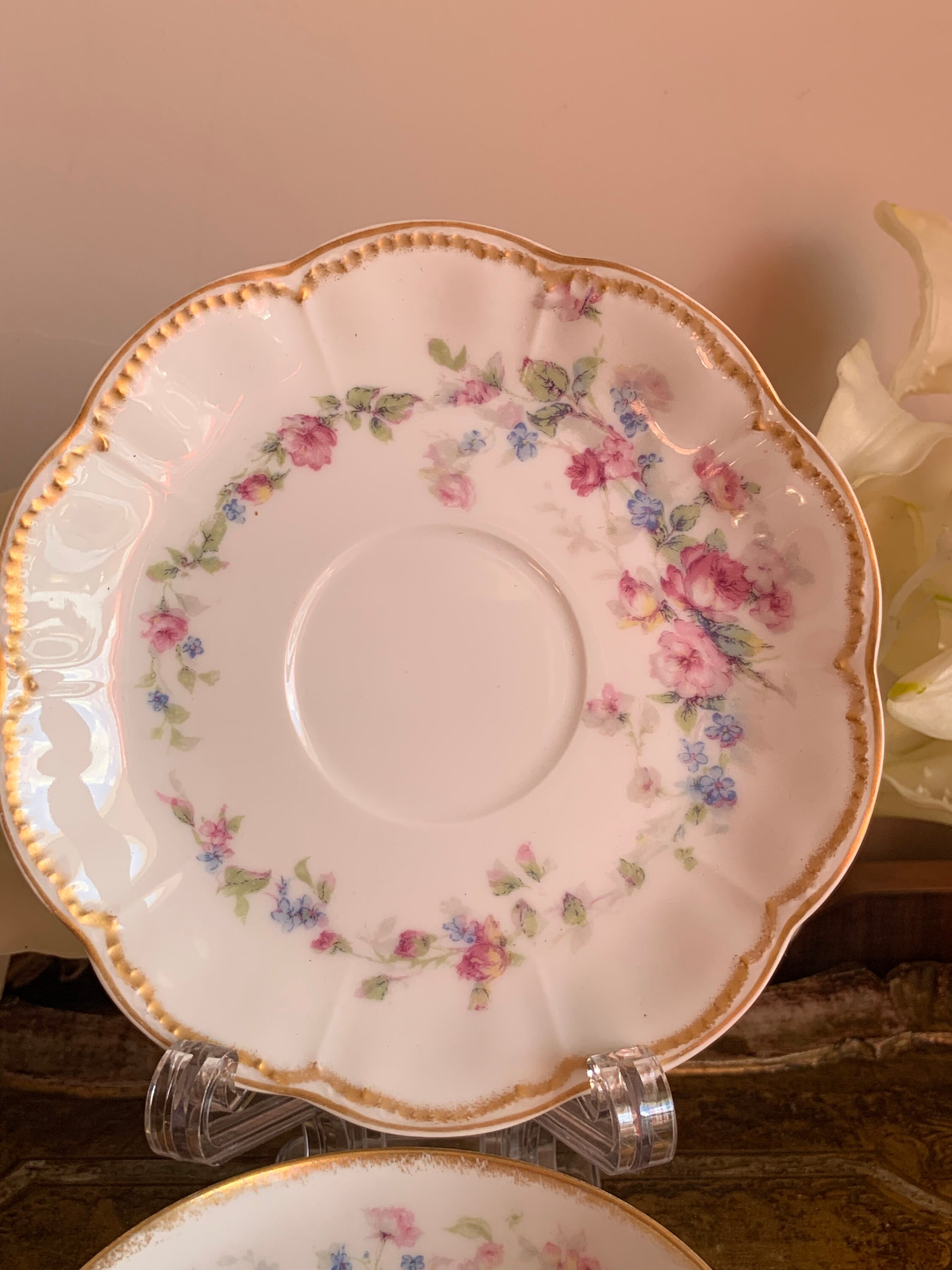 Rare Antique T.haviland Limoges Bone China Made in France in 1893 Hand ...