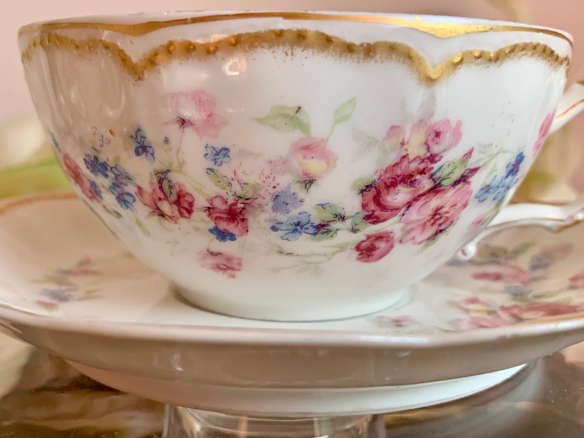 Rare Antique T.haviland Limoges Bone China Made in France in 1893 Hand ...