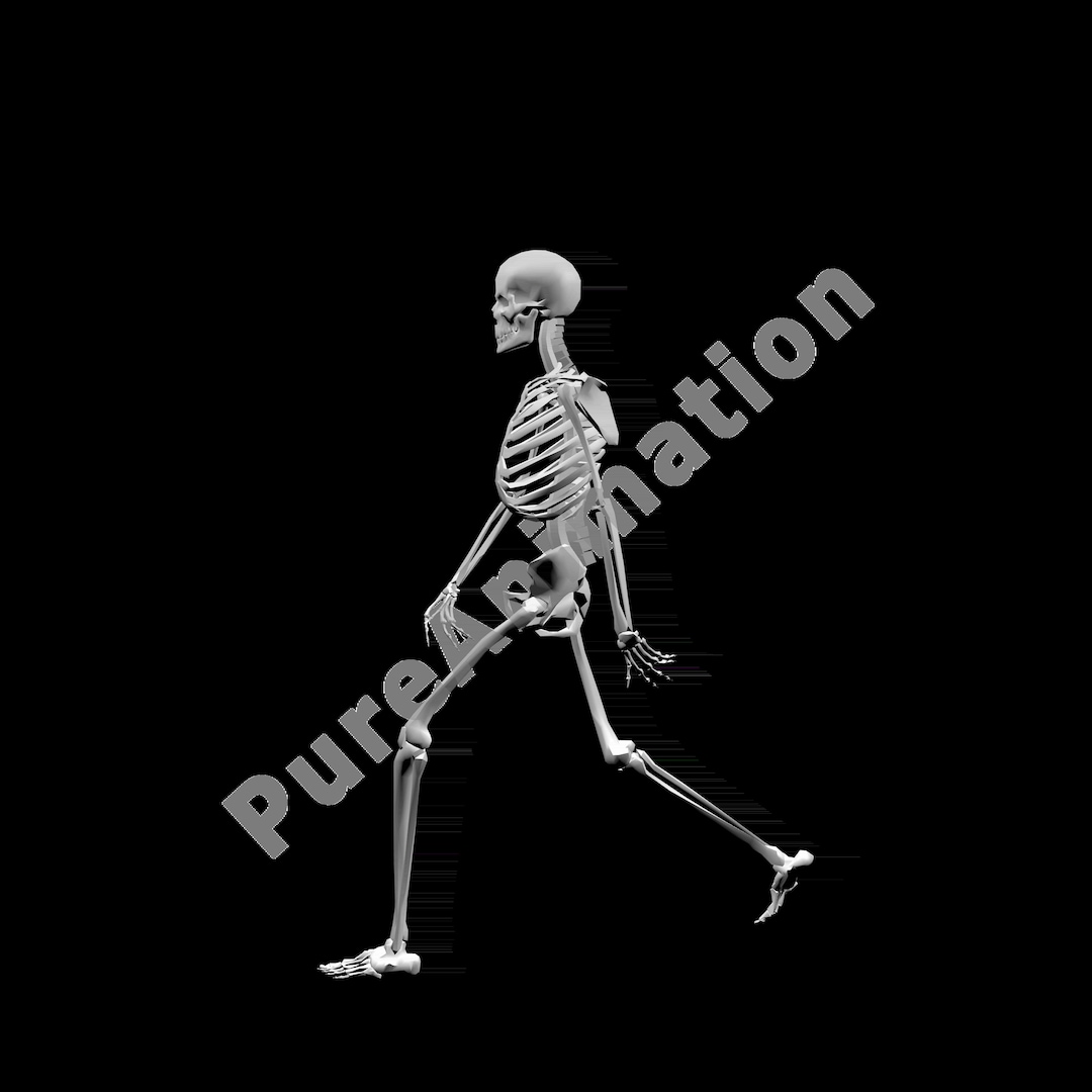 Skeleton Walking Animation - Etsy