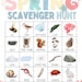 Printable Nature Spring Scavenger Hunt - Etsy