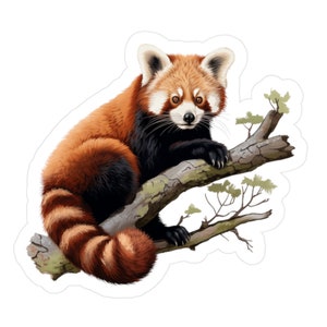 Red Panda Sticker - Kiss-cut Vinyl Animal Decals - Etsy