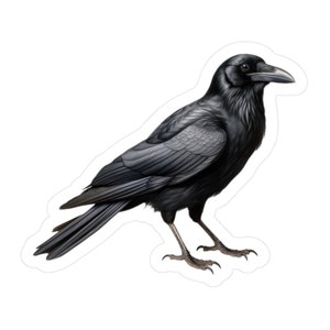 Crow Sticker | Bird Vinyl Decal | Car Decal | Laptop Sticker | Window ...