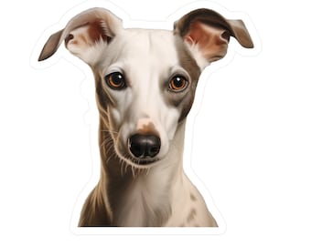 Whippets in Motion Car Sticker English Whippet Snap Dog on Board Sign ...