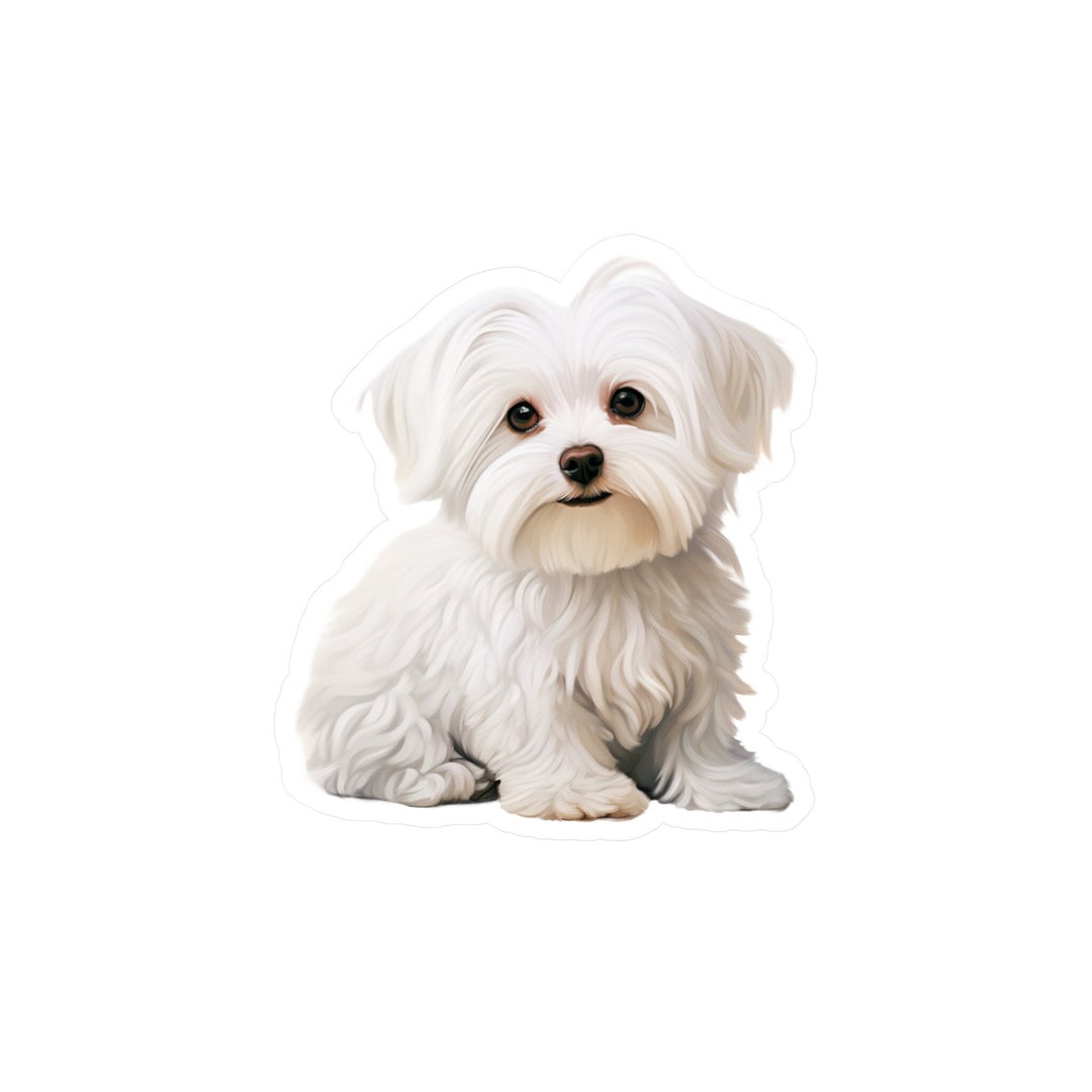 Maltese Sticker - Vinyl Dog Decals - Pet Car Decal - Dog Laptop Sticker ...