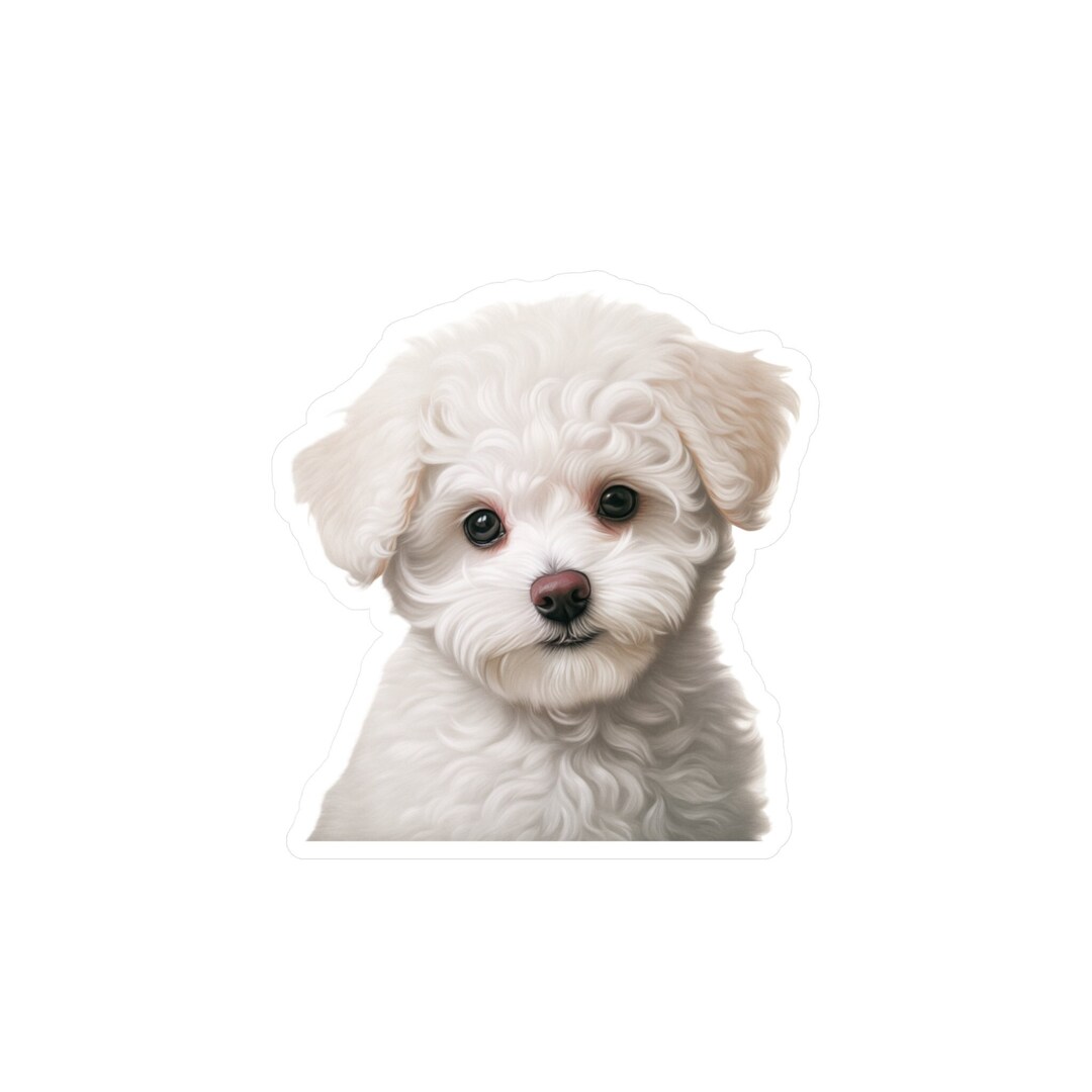 Bichon Frise Sticker | Dog Decals | Pet Car Decal | Laptop Sticker ...
