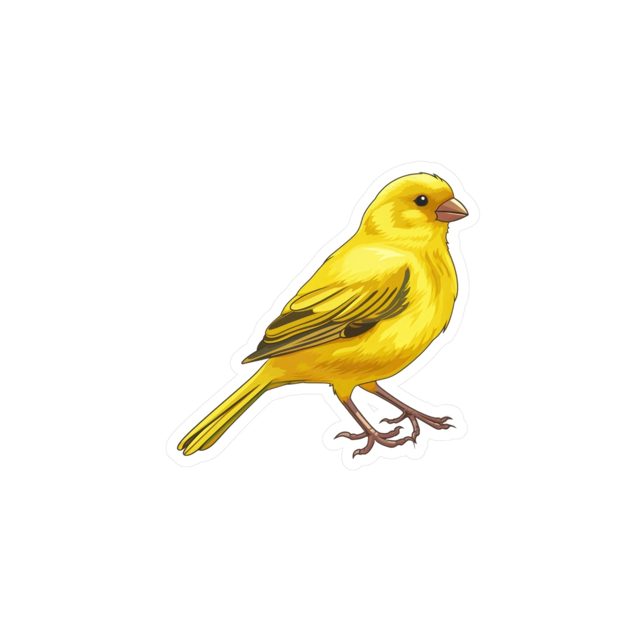 Canary Sticker - Vinyl Bird Decals - Etsy