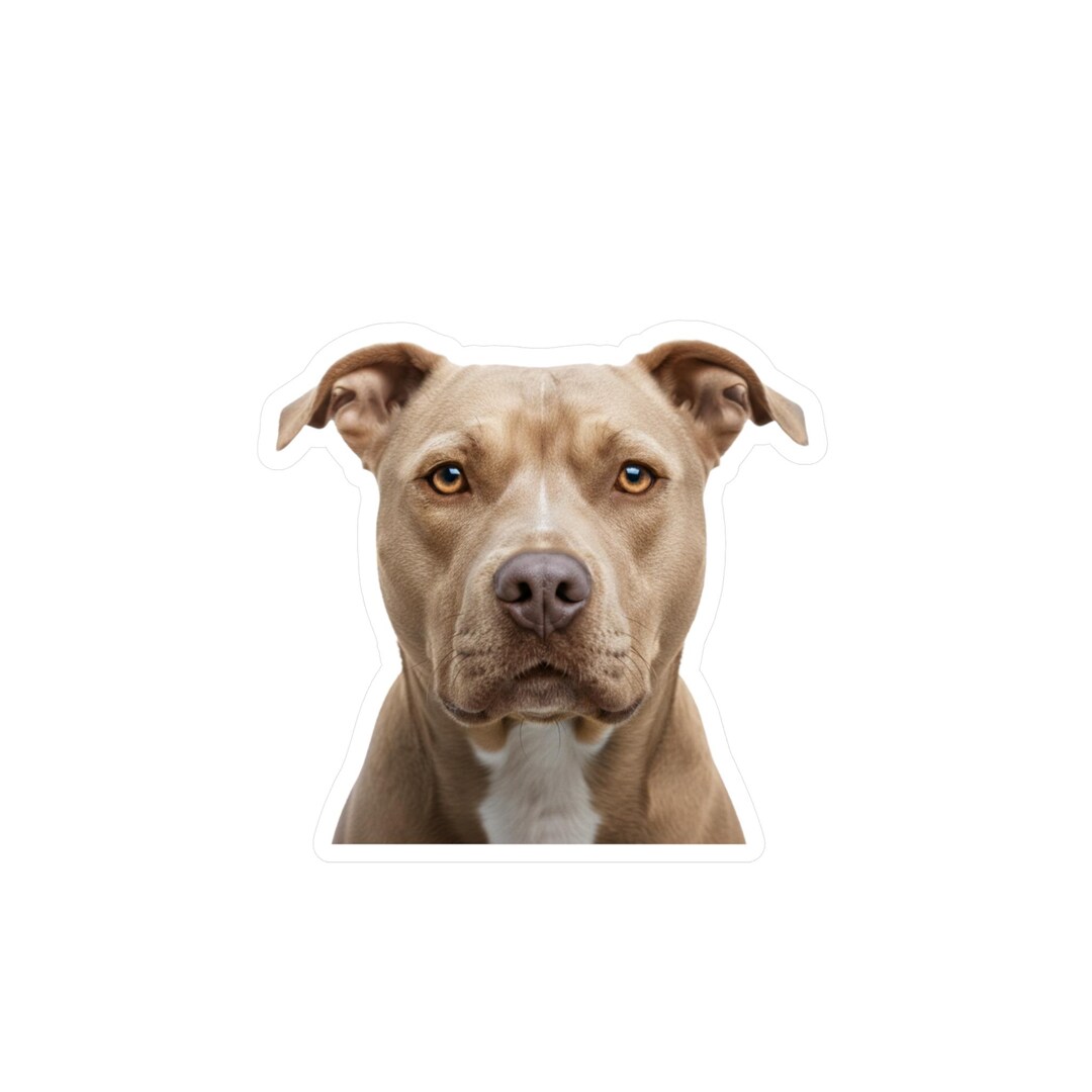 Pit Bull Decal Sticker, Dog Lover Gift, Pet Car Window Bumper, Laptop ...