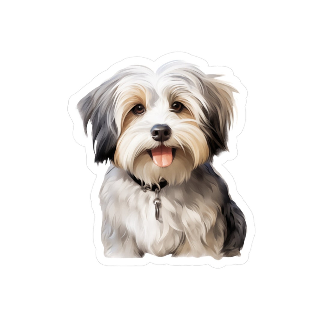 Havanese Sticker - Vinyl Dog Decals - Pet Sticker - Dog Car Decal ...