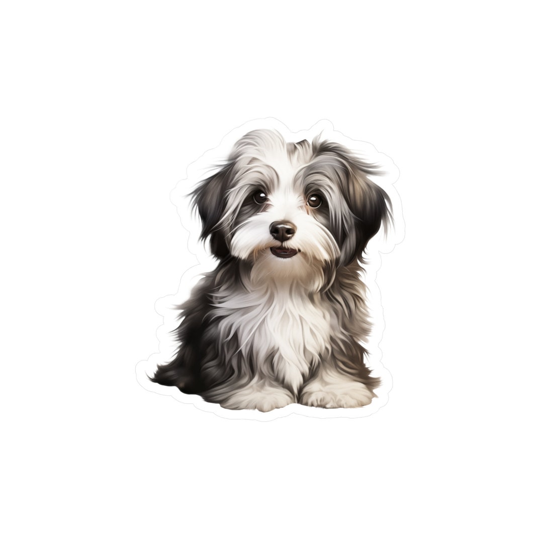 Havanese Sticker - Vinyl Dog Decals - Pet Car Decal - Laptop Sticker - Etsy