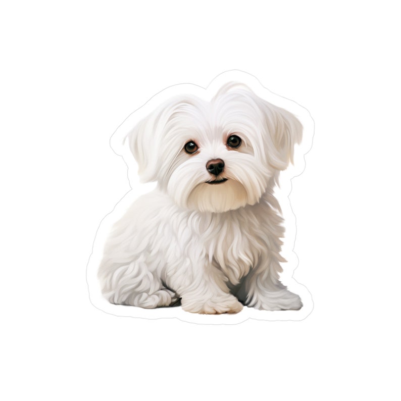 Maltese Sticker Vinyl Dog Decals - Etsy