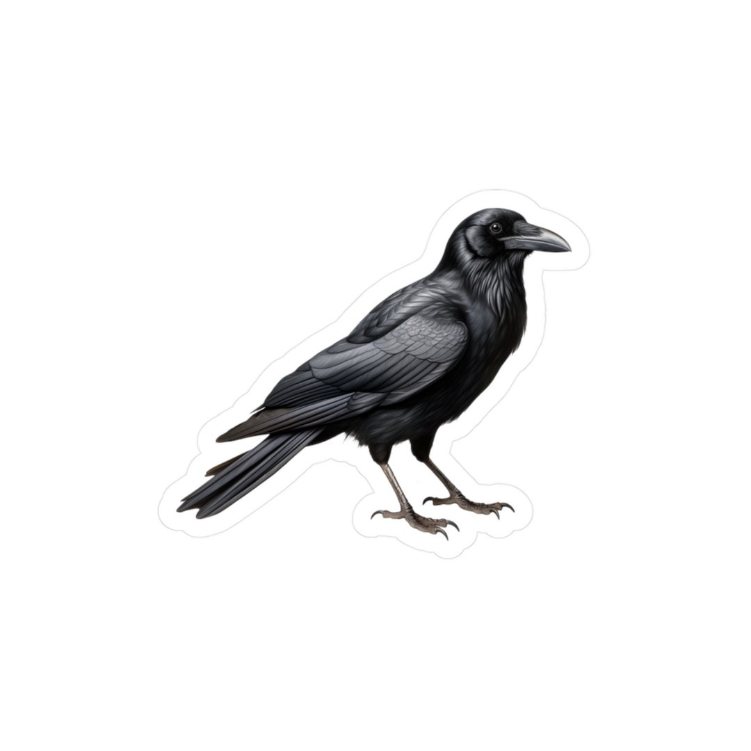 Crow Sticker | Bird Vinyl Decal | Car Decal | Laptop Sticker | Window ...