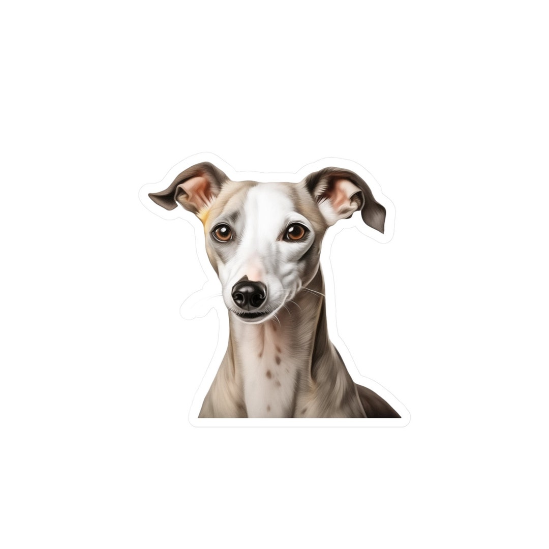 Whippet Sticker | Dog Vinyl Decal | Pet Car Decal | Whippet Laptop ...