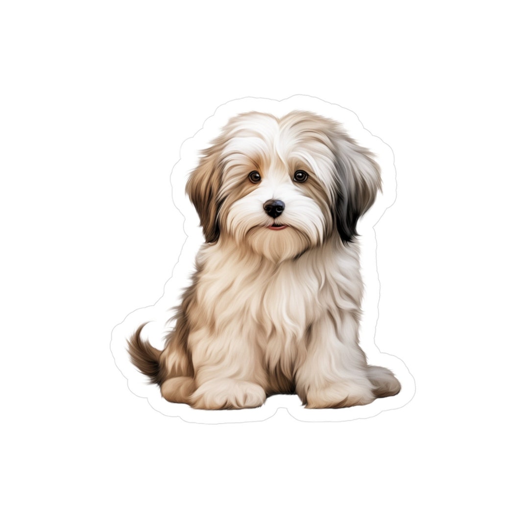 Havanese Sticker - Vinyl Dog Decals - Pet Computer or Laptop Sticker ...