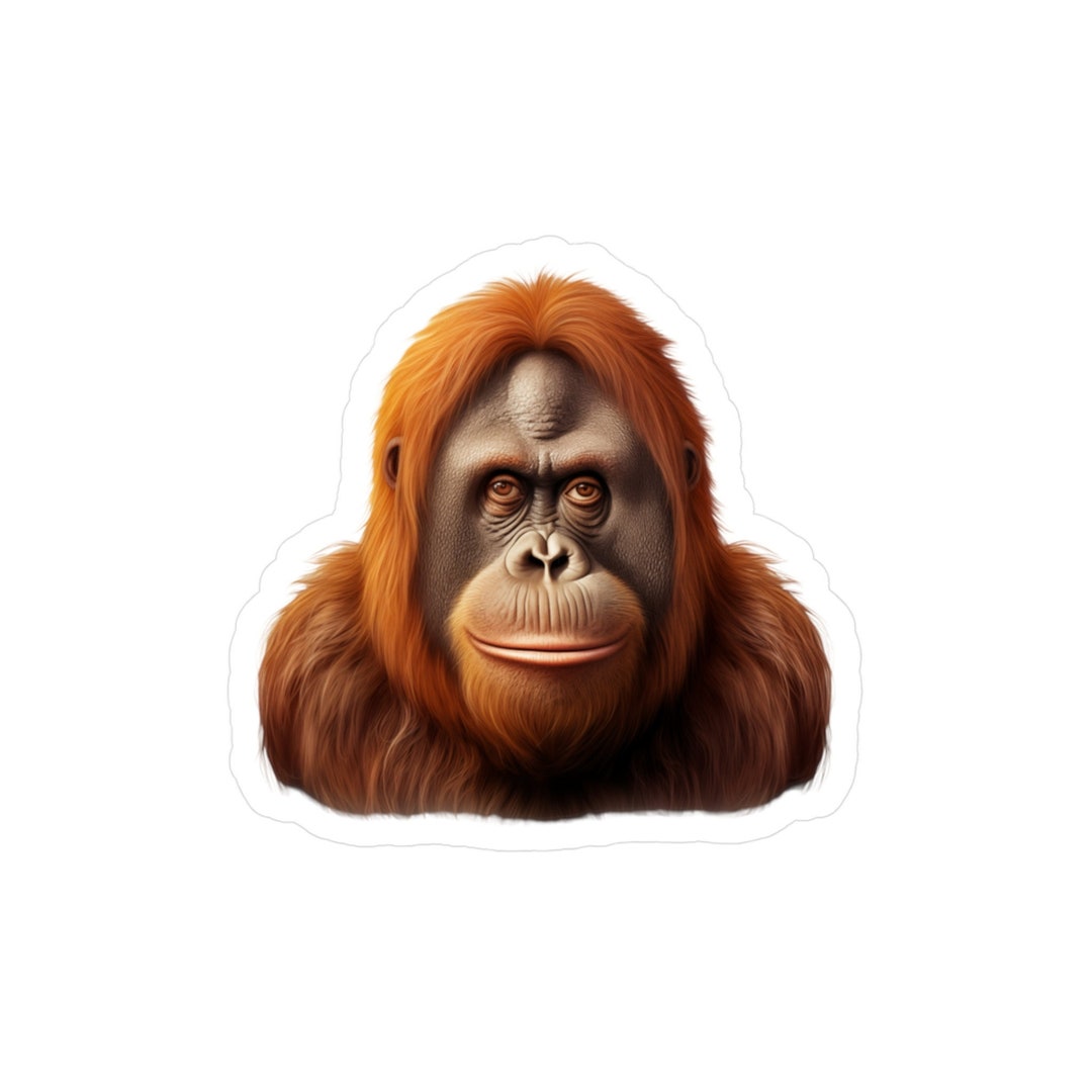Orangutan Sticker | Monkey Vinyl Decal | Car Decal | Laptop Sticker ...