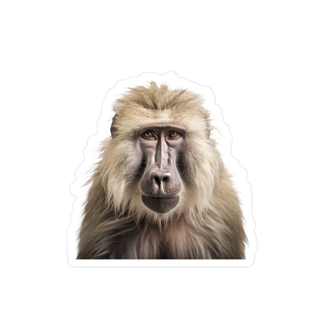 Baboon Sticker | Monkey Vinyl Decal | Animal Car Decal | Laptop Sticker ...